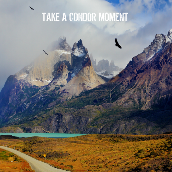 Slow down - Take a condor moment – ITDG® - In the Dead Ground